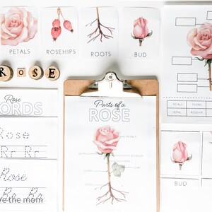 Parts of a Rose Pack, Rose Anatomy, Science, Language Arts, Handwriting ...