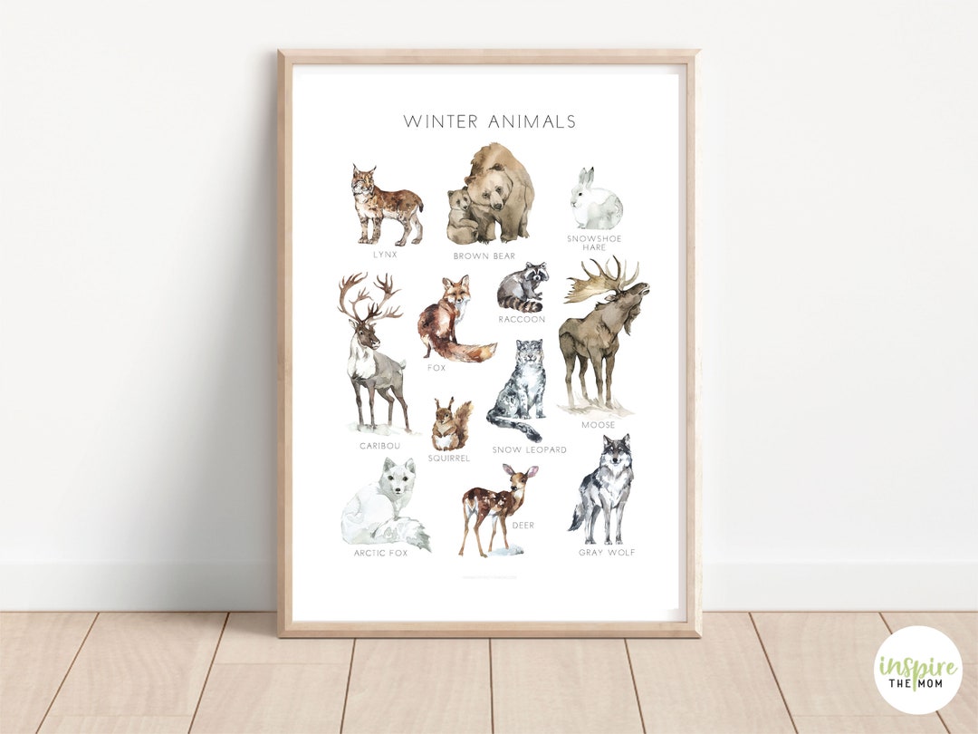 Winter Animals Nature Poster, Educational Poster, School Art, Charlotte ...