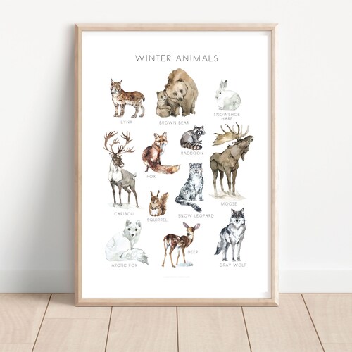 Ocean Animals Nature Poster Educational Poster Charlotte - Etsy