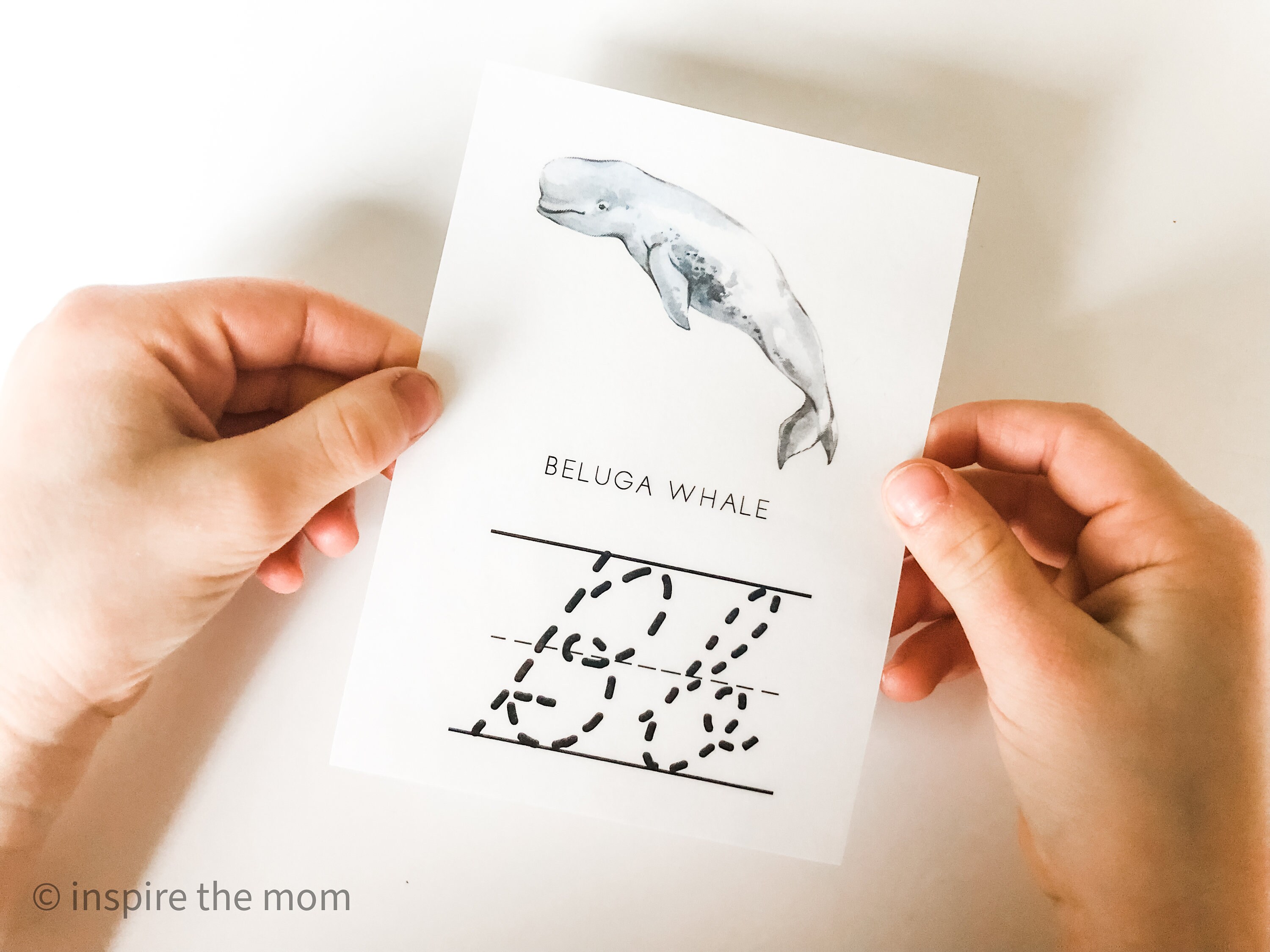Ocean Animal Alphabet Tracing Cards Handwriting Activity - Etsy