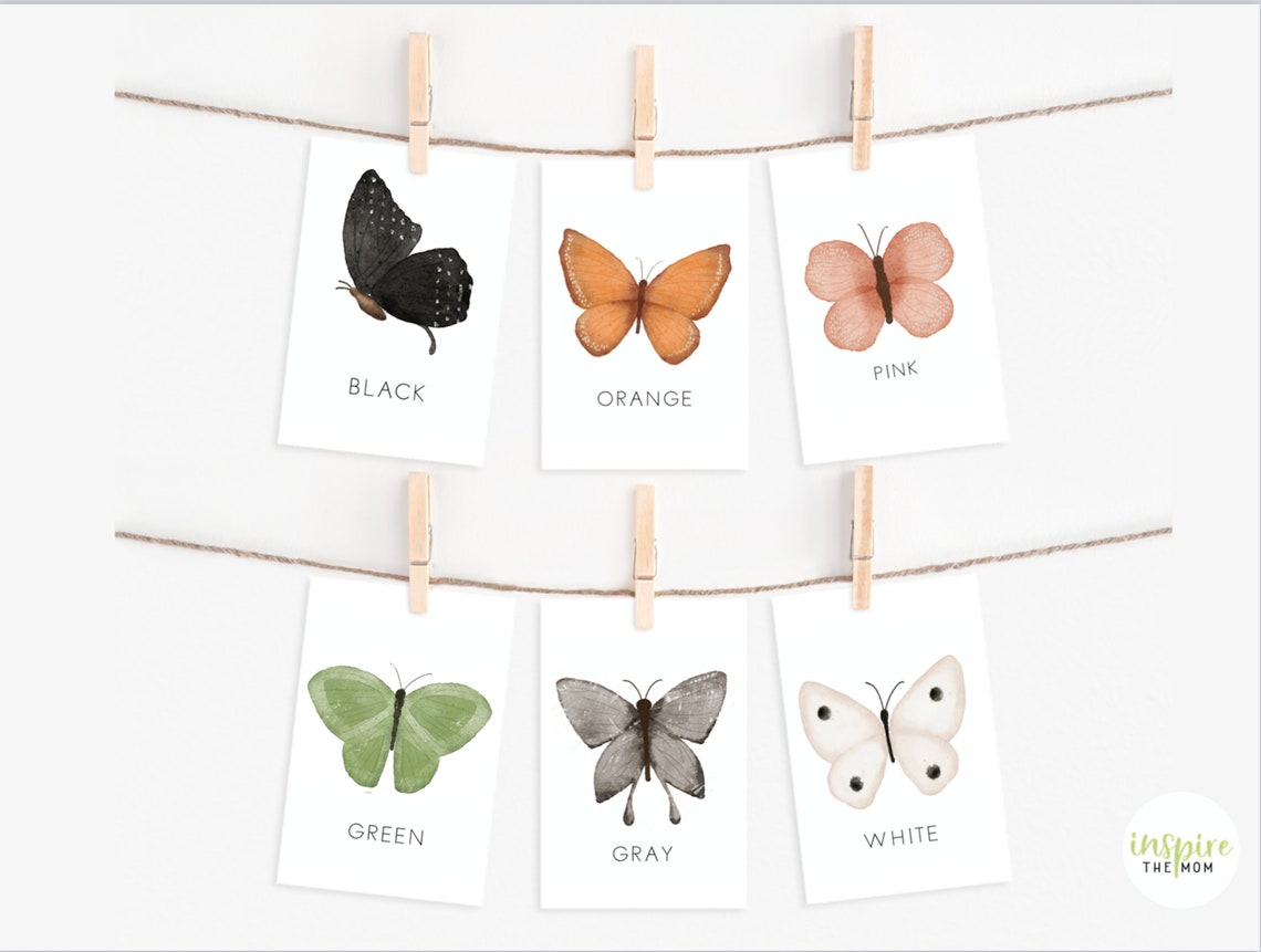 Butterfly Colors Flashcards, Nature Printable, Preschool Colors, Color ...