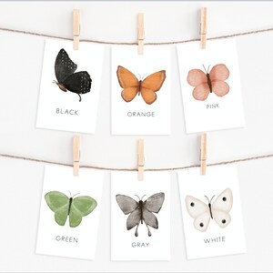 Butterfly Colors Flashcards, Nature Printable, Preschool Colors, Color ...