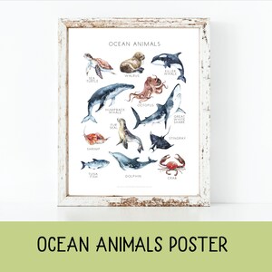 Ocean Animals Nature Poster, Educational Poster, Charlotte Mason ...