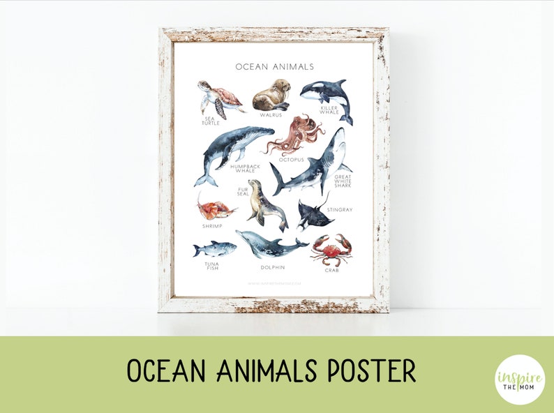 Ocean Animals Nature Poster, Educational Poster, Charlotte Mason ...