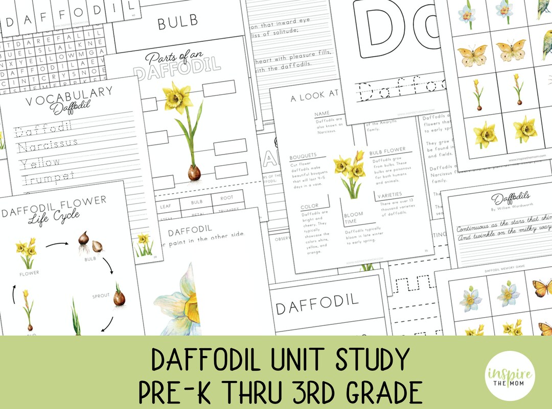 Daffodil Unit Study for Prek-4th Grade, Daffodil Poem Study, William ...