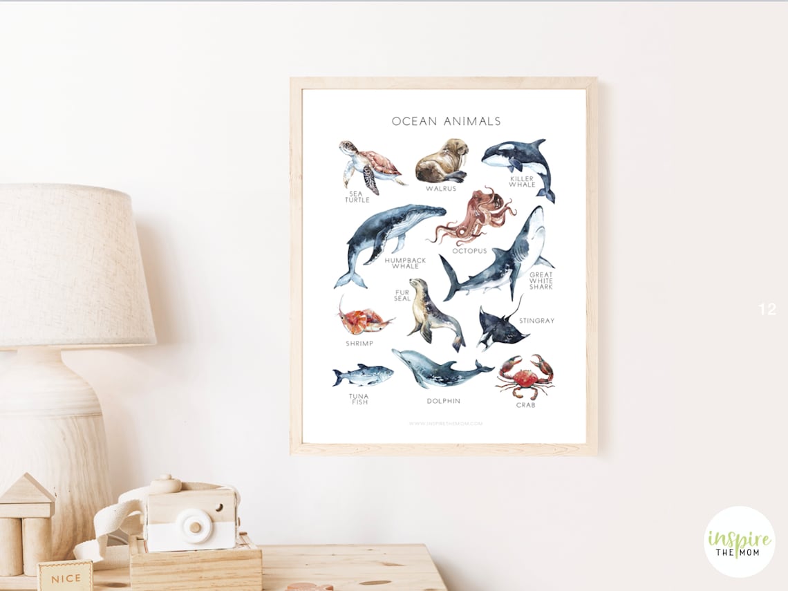 Ocean Animals Nature Poster Educational Poster Charlotte - Etsy