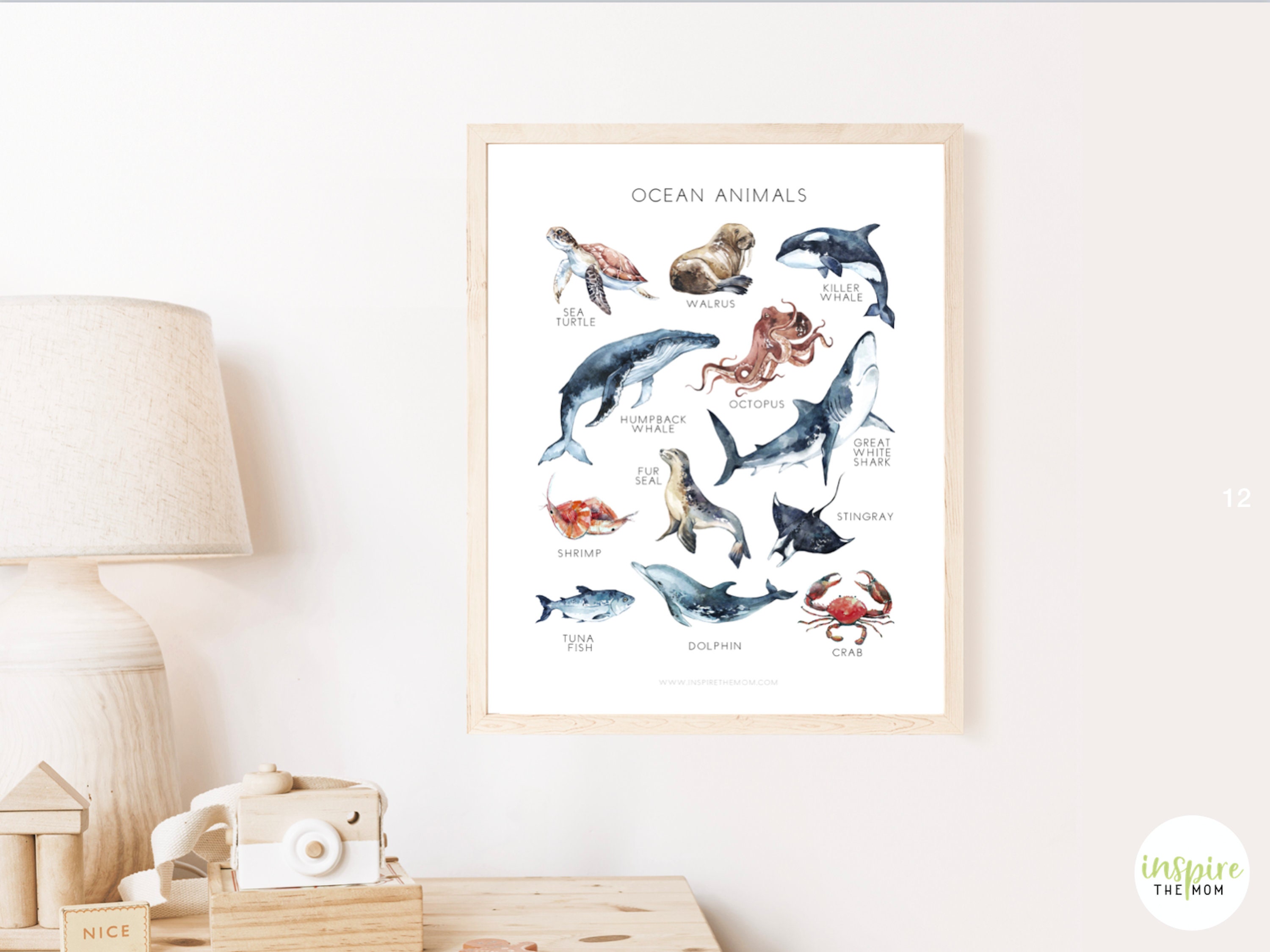 Ocean Animals Nature Poster, Educational Poster, Charlotte Mason ...