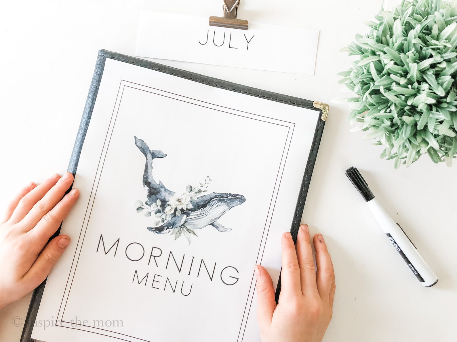 Morning Menu Pages for July | Morning Time Basket | Charlotte Mason ...