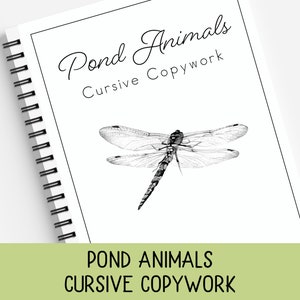 Pond Animals, Cursive Copywork, Pond Animal Facts, Cursive Handwriting ...