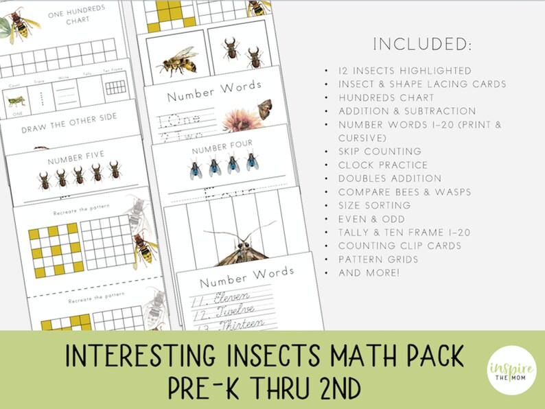 Interesting Insects Unit BUNDLE Nature Study Math Language - Etsy