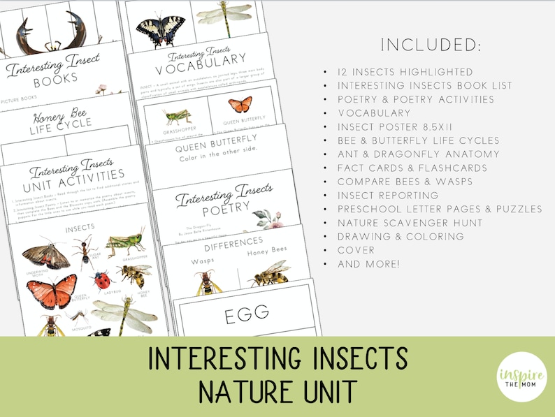 Insect Unit Study for Prek–2nd Kids | Bug Activities | Nature Study ...