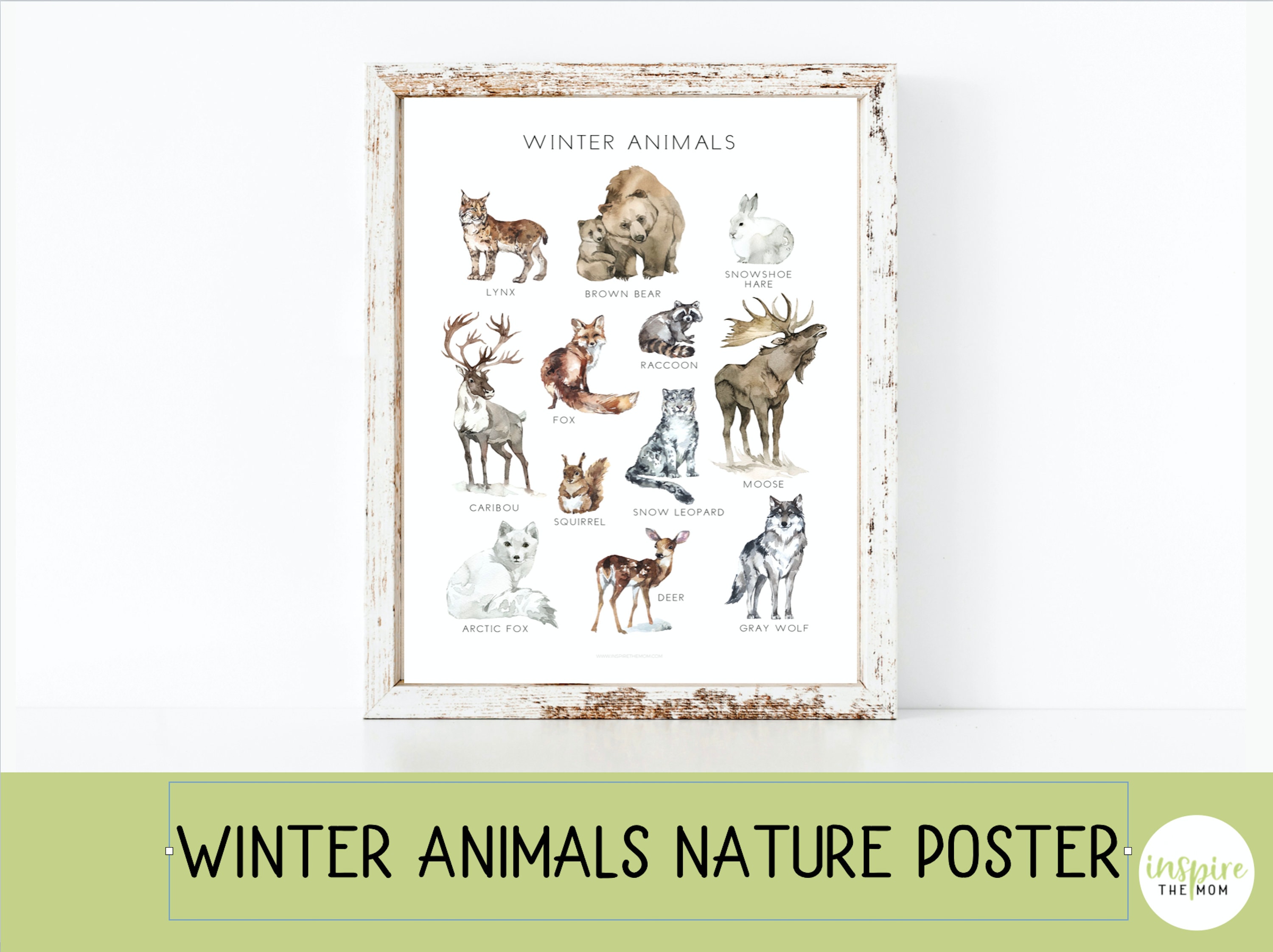 Winter Animals Nature Poster, Educational Poster, School Art, Charlotte ...