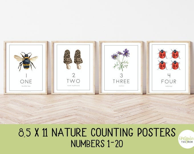 Number Ten Frames & Domino Counting Classroom Poster Templates- Bright ...