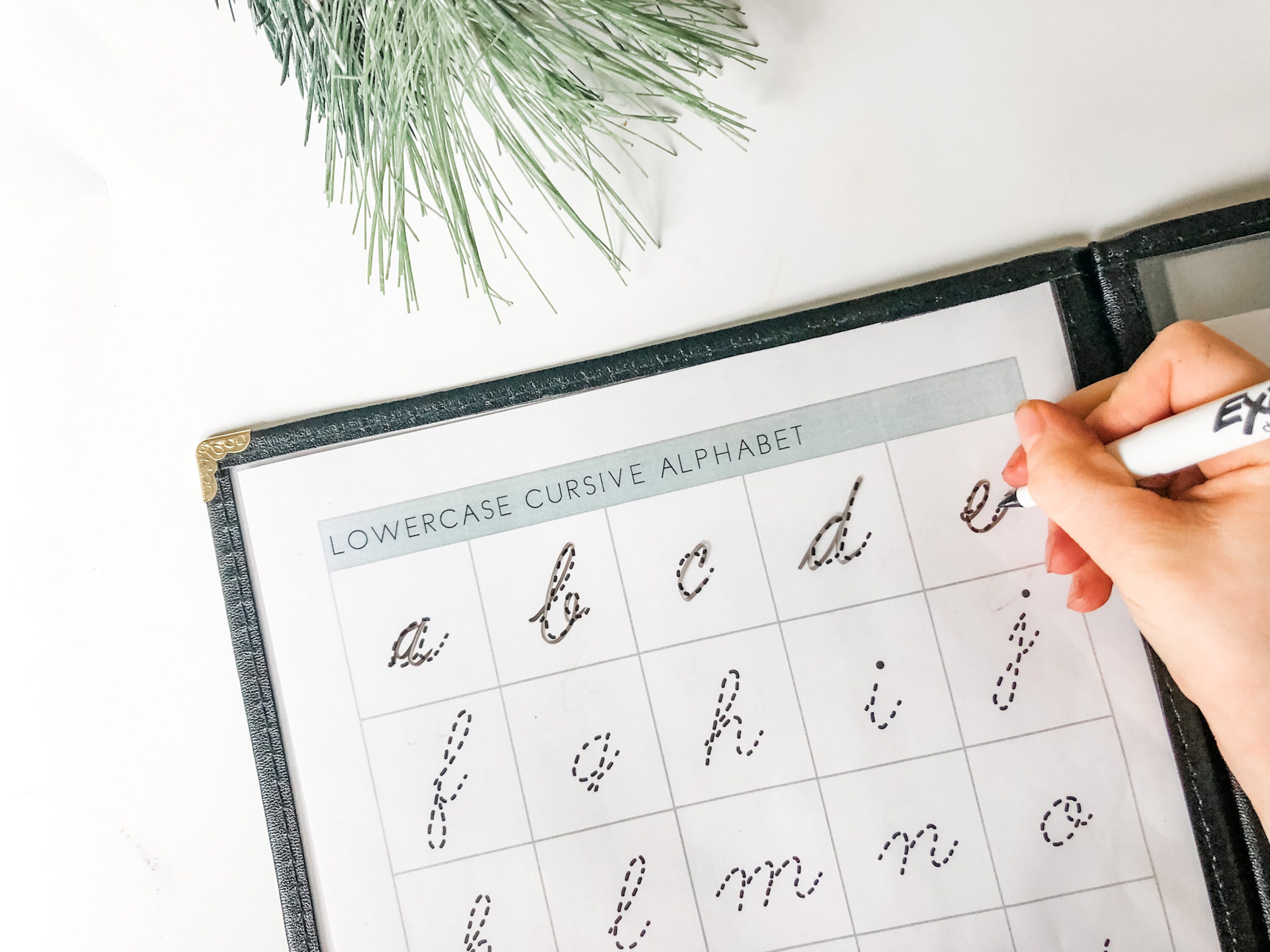 Morning Menu Pages for February, Homeschool Printable, Morning Time ...