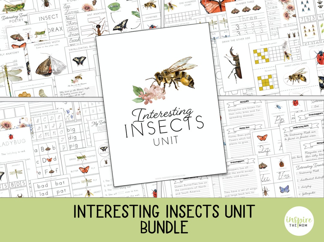 Interesting Insects Unit BUNDLE, Nature Study, Math, Language Arts ...