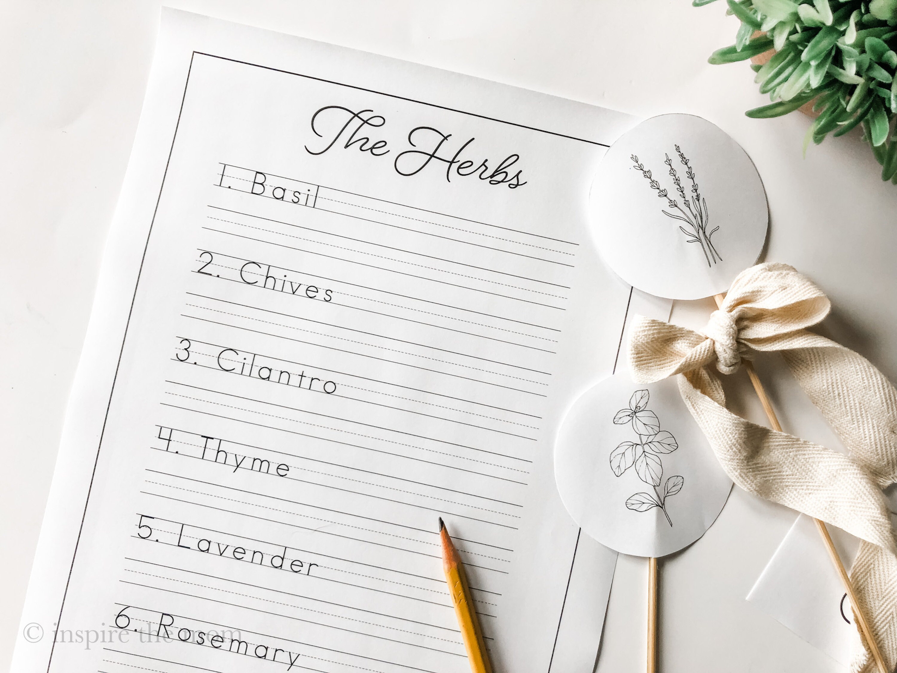 Herbs, Print Copywork, Herb Facts, Print Handwriting Practice ...