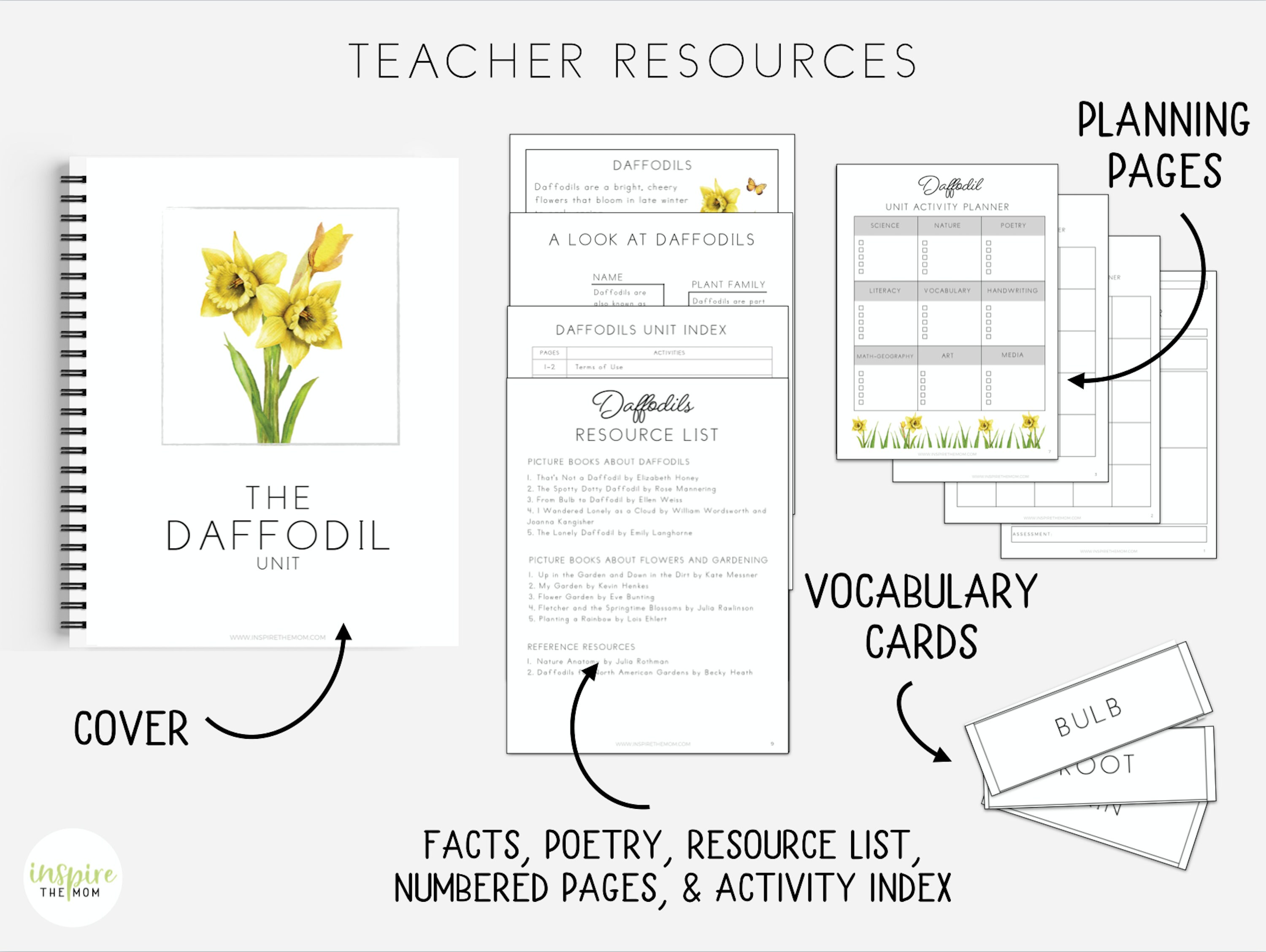 Daffodil Unit Study for Prek–4th Grade Kids | Spring Poetry & Nature ...