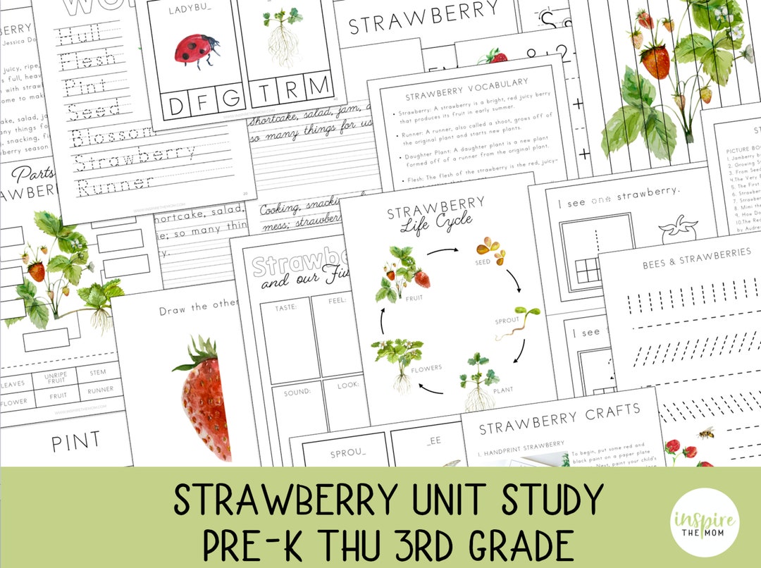 Strawberry Unit Study, Strawberry Activities, Summer Unit, Spring Unit ...