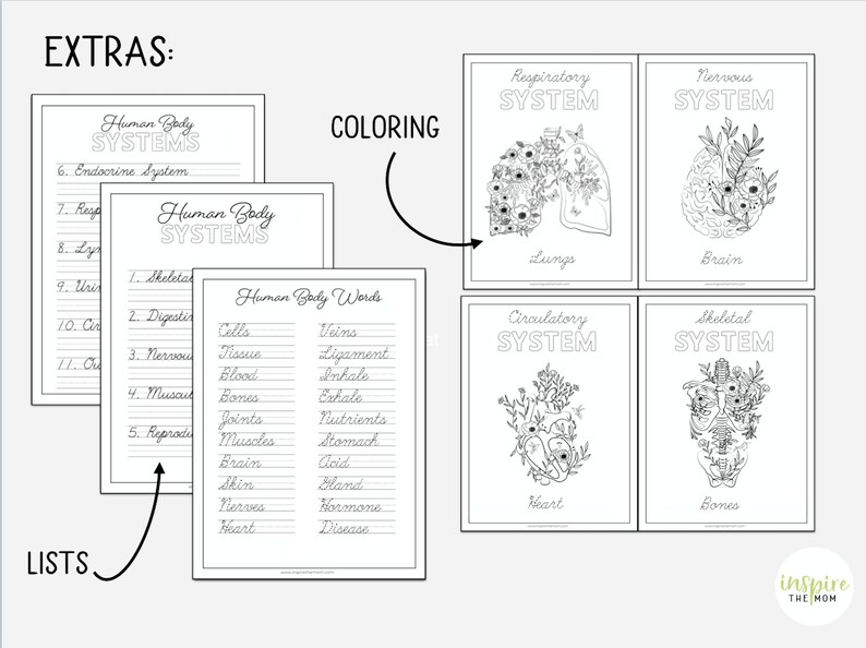 Human Body Systems Cursive Copywork Human Body Facts - Etsy