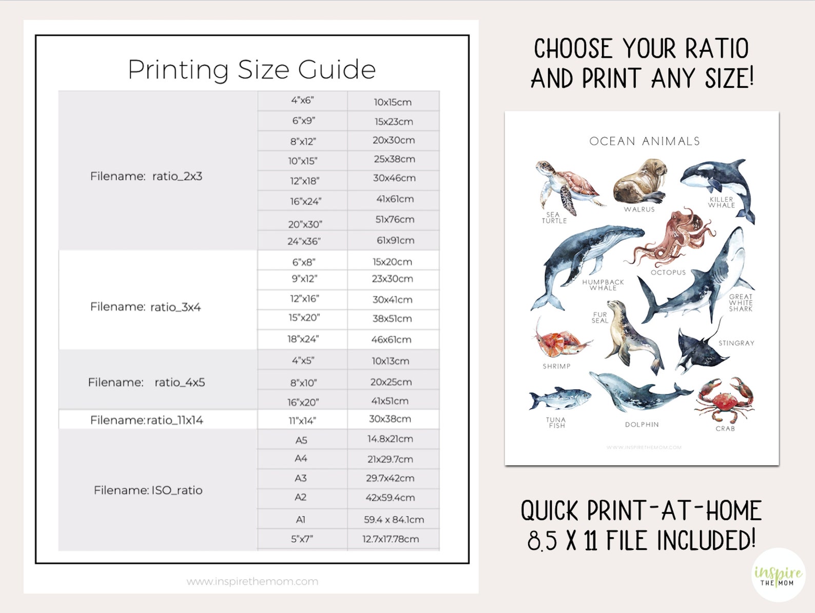 Ocean Animals Nature Poster, Educational Poster, Charlotte Mason ...