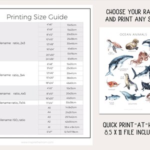 Ocean Animals Nature Poster, Educational Poster, Charlotte Mason ...