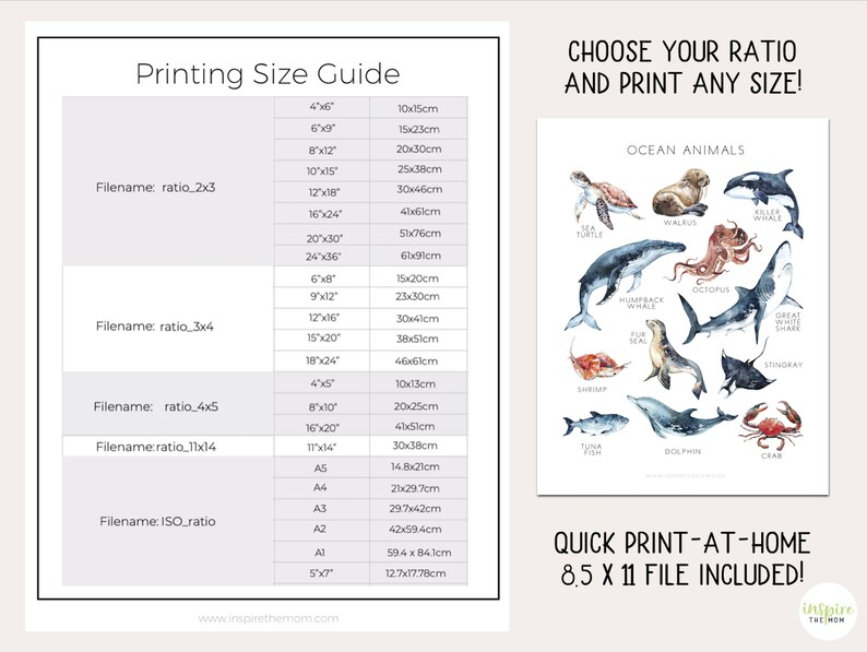 Ocean Animals Nature Poster, Educational Poster, Charlotte Mason ...