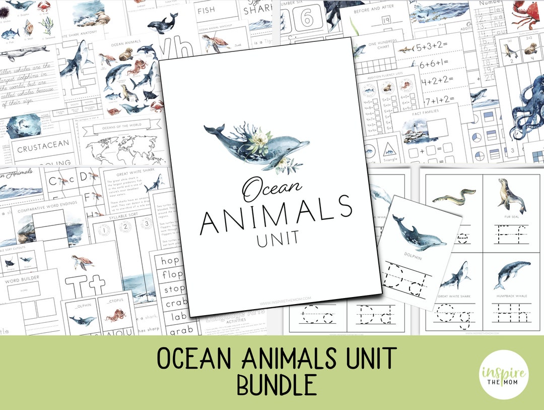 Ocean Animals Unit BUNDLE, Nature Study, Math, Language Arts ...