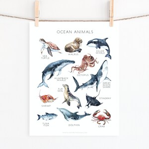 Ocean Animals Nature Poster, Educational Poster, Charlotte Mason ...