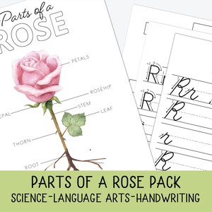 Parts of a Rose Pack, Rose Anatomy, Science, Language Arts, Handwriting ...