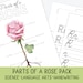 Parts of a Rose Pack, Rose Anatomy, Science, Language Arts, Handwriting ...