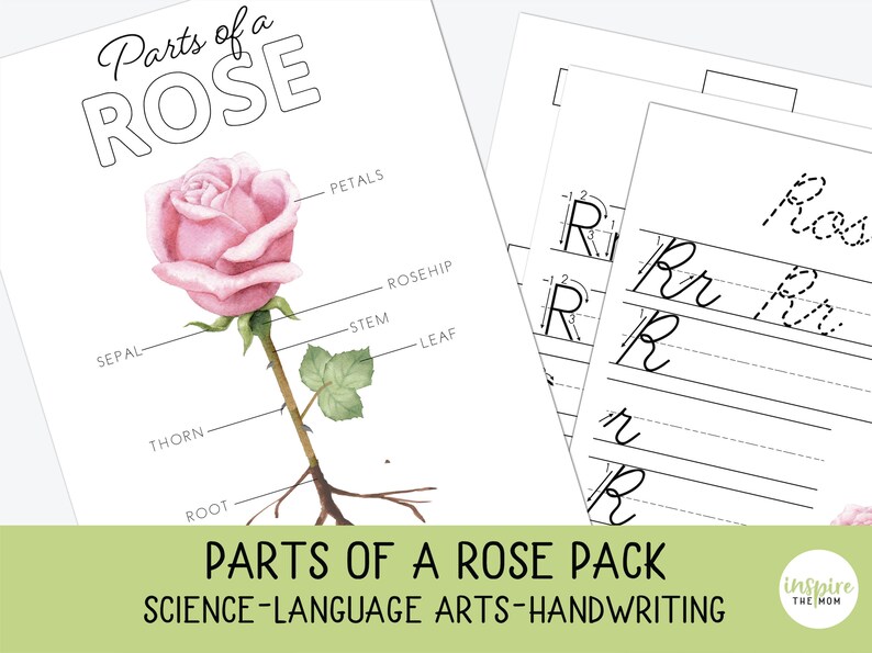 Parts of a Rose Pack Rose Anatomy Science Language Arts - Etsy