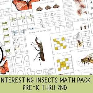 Interesting Insects Math Pack, Prek - 2nd Grade, Math, Charlotte Mason ...