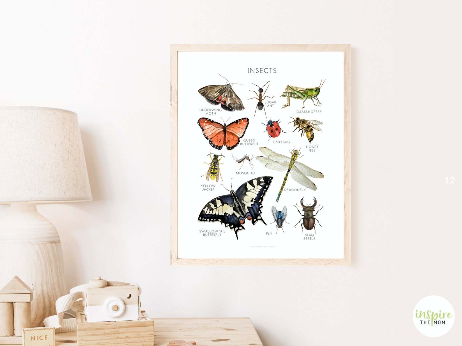 Insect Poster, Educational Poster, School Art, Charlotte Mason ...