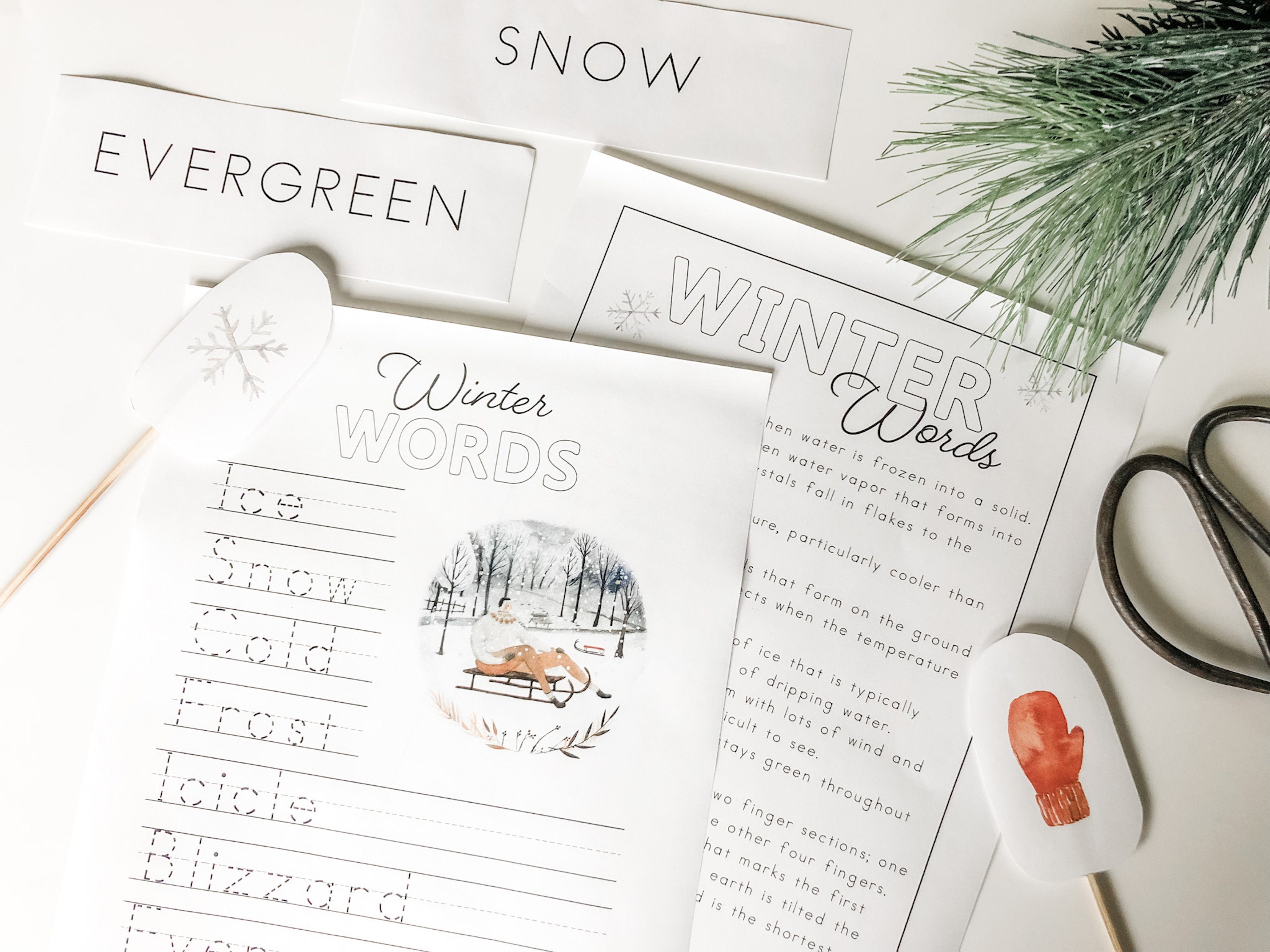 Winter Unit Study, Four Seasons Activity, Prek-3rd Grade, Charlotte ...