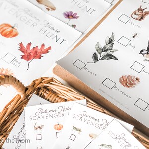 Seasons Nature Scavenger Hunts BUNDLE, for Prek-2nd Grade, Nature Study ...