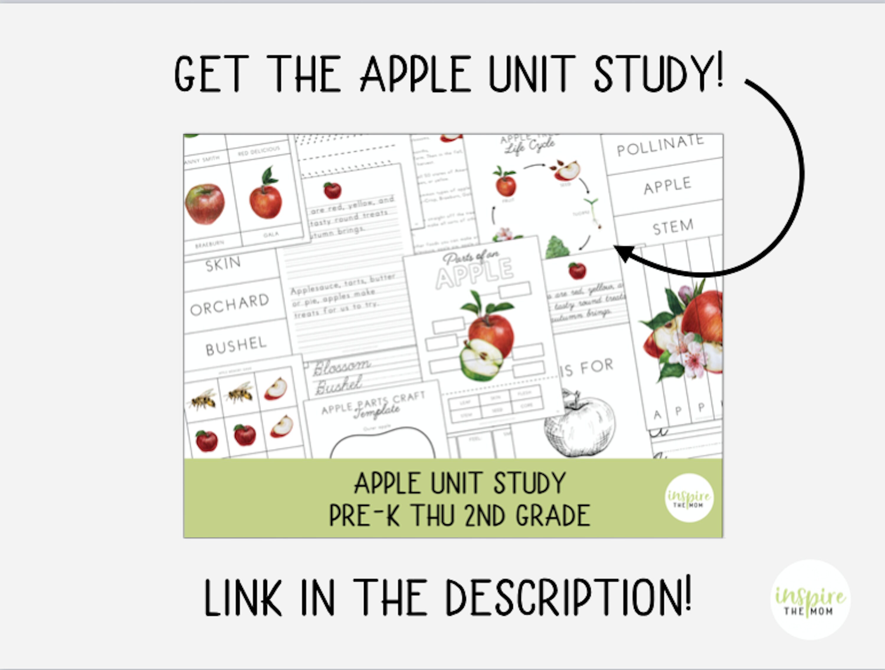 Parts of an Apple Craft, Apple Template, Apple Craft, Apple Activity ...