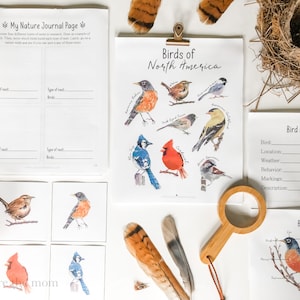 Spring Nature Journal, Homeschool Printable, Nature Study, Nature ...