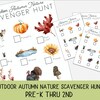 Winter Animals Flashcards, and Winter Animals Poster, Science Printable ...