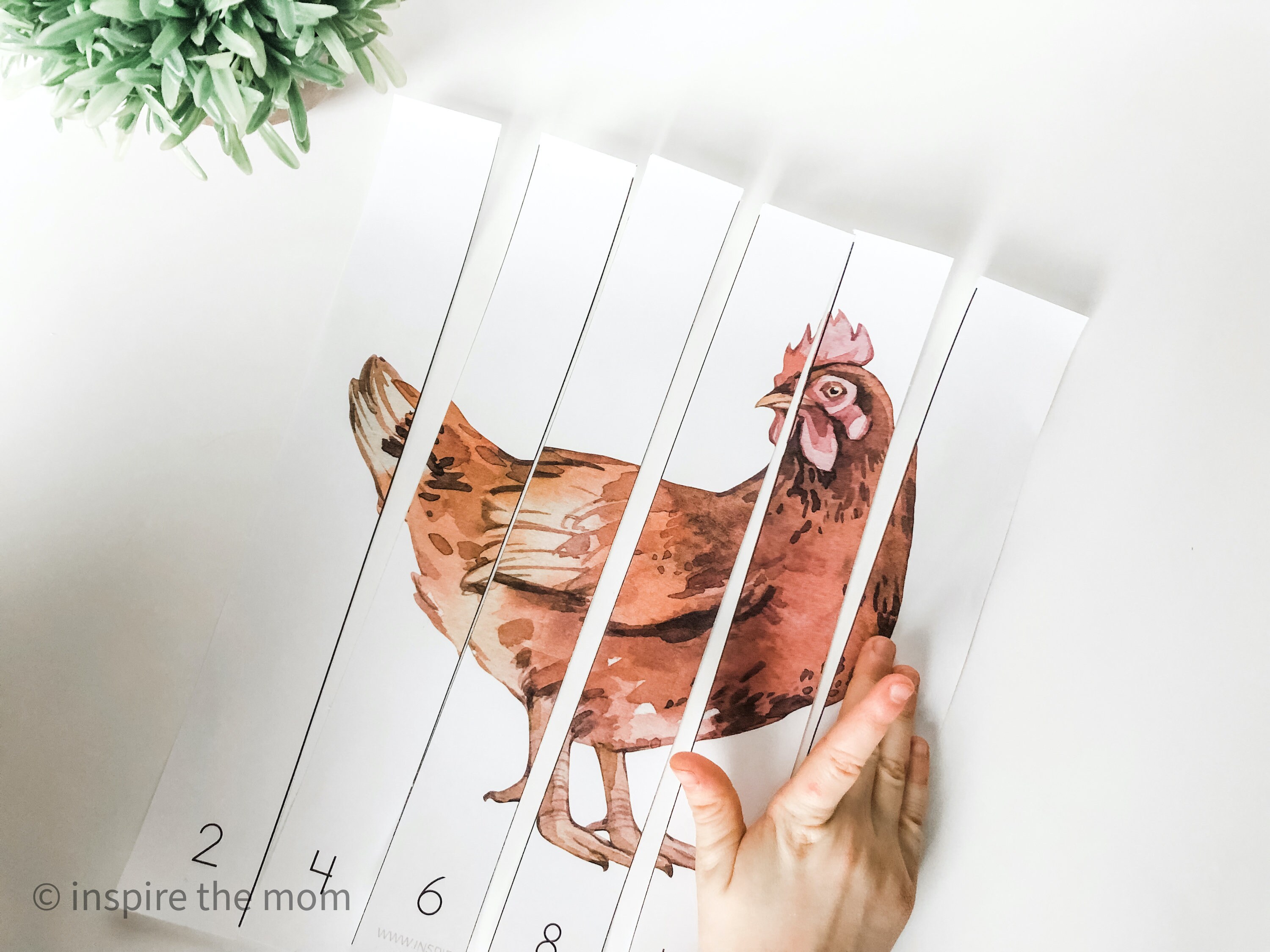 Farm Animals Math Pack Prek-2nd Farm Math Farm Activities - Etsy