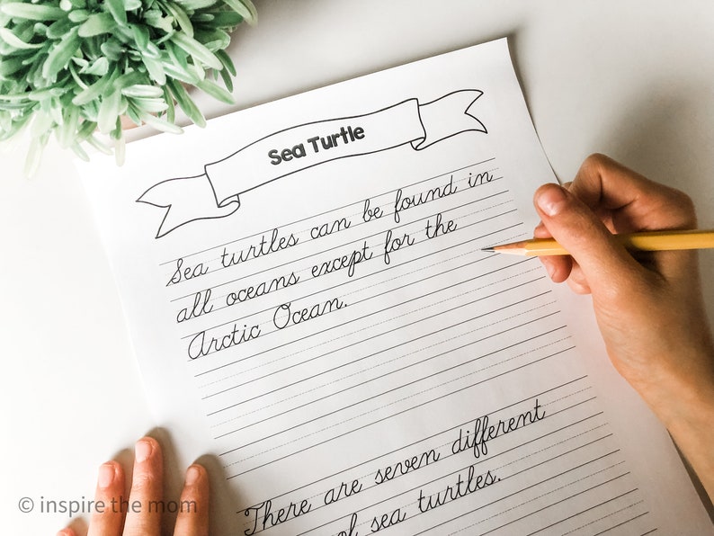 Ocean Animals Cursive Copywork, Ocean Animal Facts, Cursive Handwriting ...