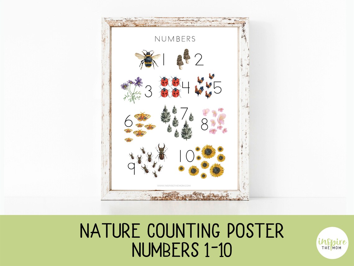 Nature Counting and Numbers Poster, Educational Print, Nursery Wall Art ...