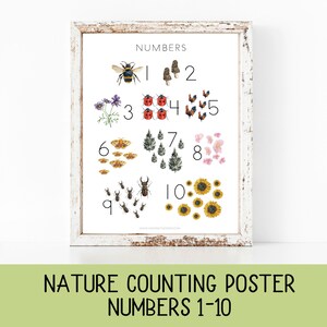 Nature Counting and Numbers Poster, Educational Print, Nursery Wall Art ...