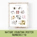 Nature Counting and Numbers Poster Educational Print Nursery - Etsy