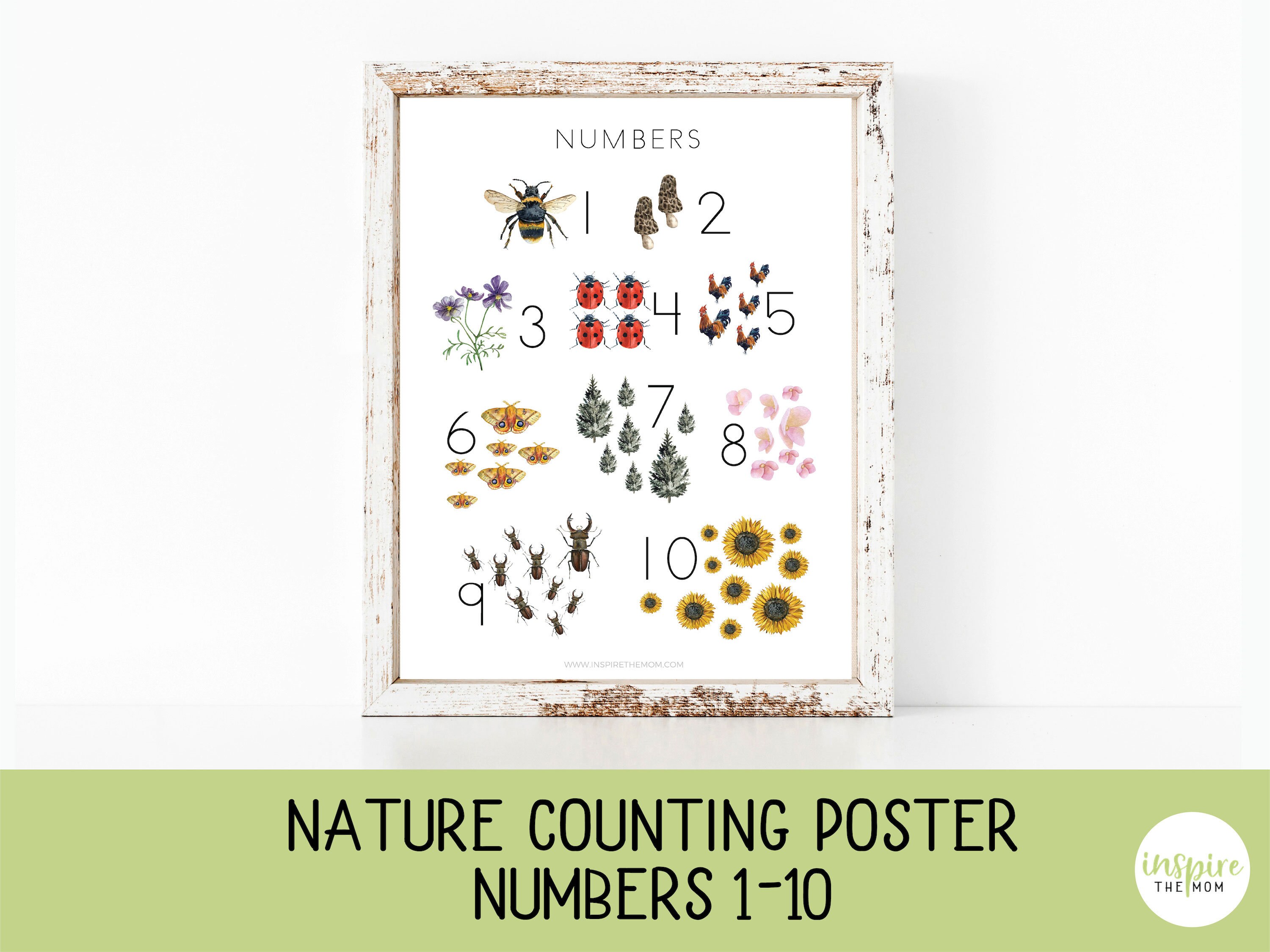 Nature Counting and Numbers Poster, Educational Print, Nursery Wall Art ...