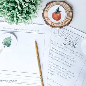 Apple Unit Study, Apple Activities, Prek - 2nd Grade, Fall Unit ...
