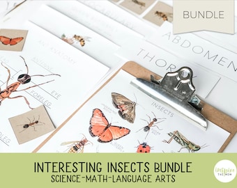 Apple Unit Study Apple Activities Prek 2nd Grade Fall - Etsy