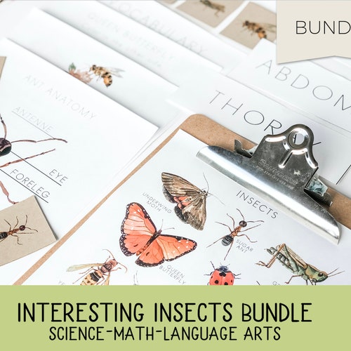 Farm Animal Unit BUNDLE Nature Study Math Language Arts - Etsy