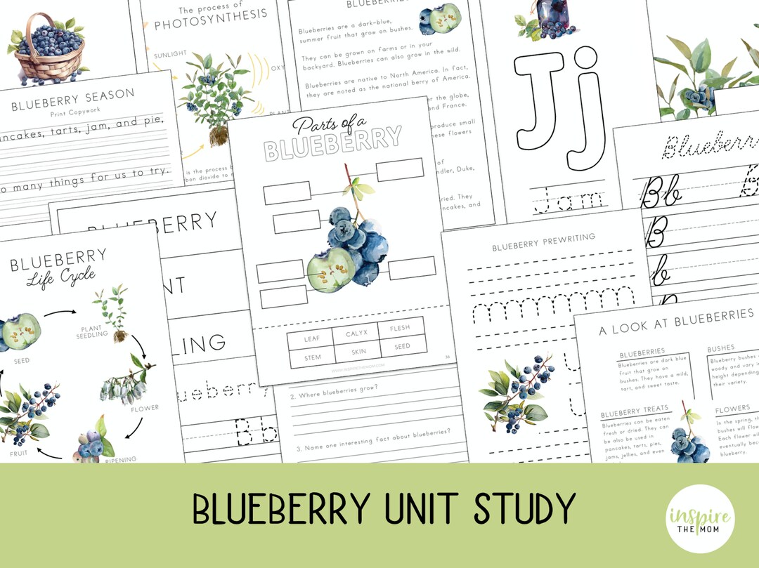 Blueberry Unit Study, Nature Study, Life Cycle, Prek - 3rd Grade ...