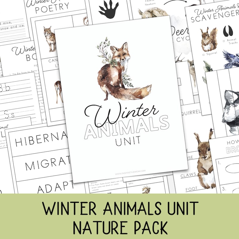 Nature Montessori Tracks - Etsy