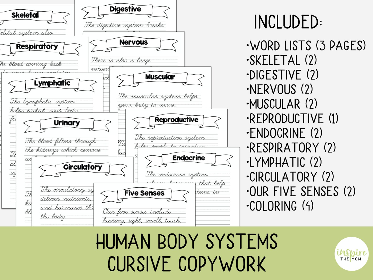 Human Body Systems Cursive Copywork Human Body Facts - Etsy